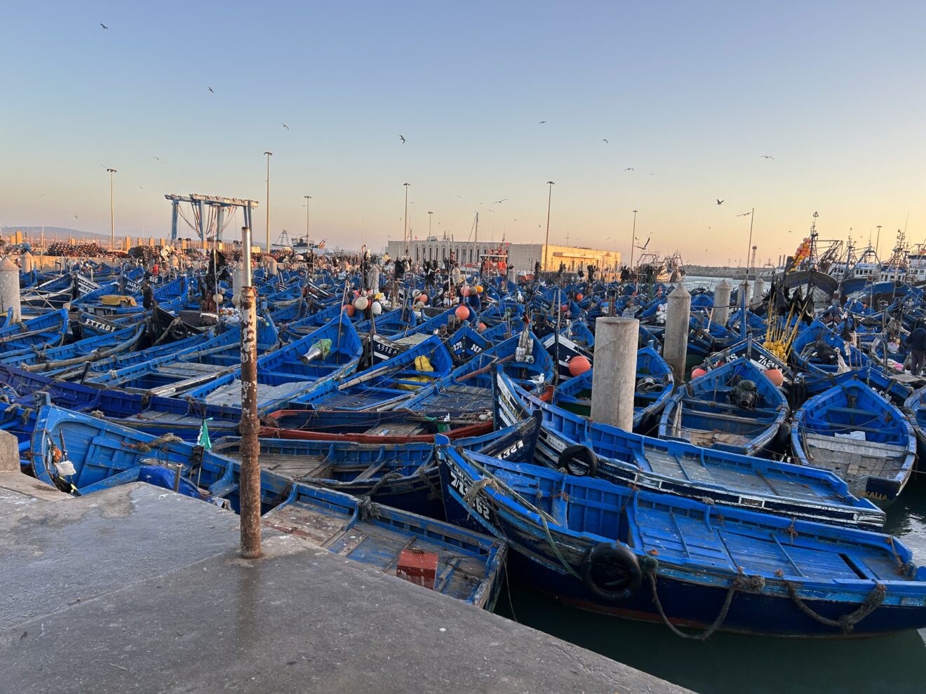 Remote Tribe Digital Nomads And Remote Workers